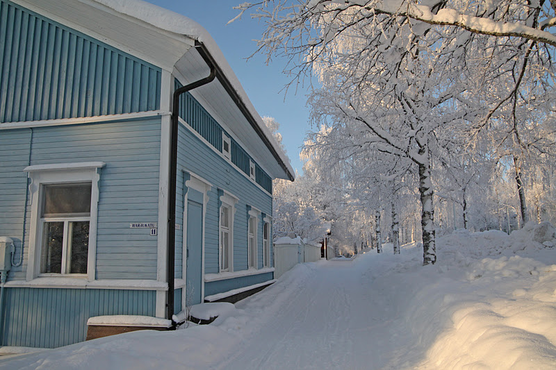 Nurmes ja Puu-Nurmes