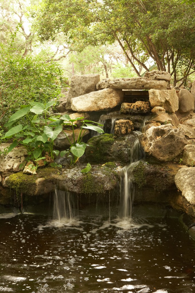 Texas Revelations: Helotes...Where the Fabulous Hill Country Begins