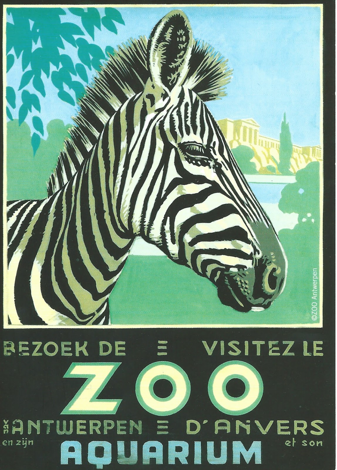 MY POSTCARD-PAGE: BELGIUM ~ Antwerp Zoo