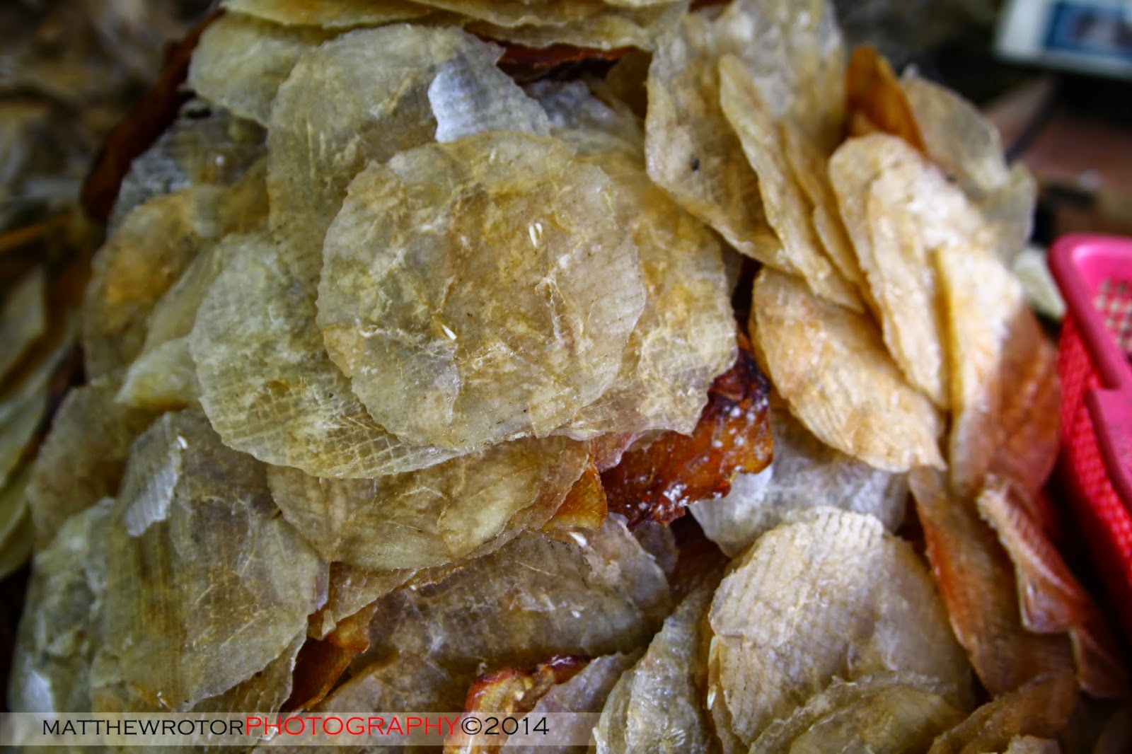 Living with Nature - School on Blog by Dr. Abercio V. Rotor: UST-AB ...