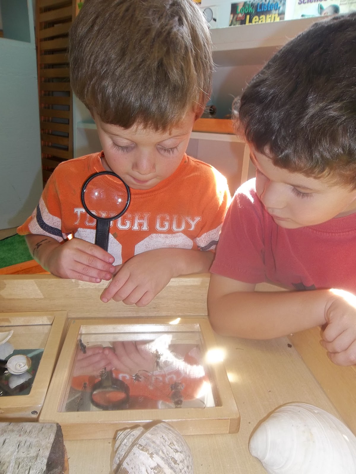 Playfully Learning: Easy Science Center