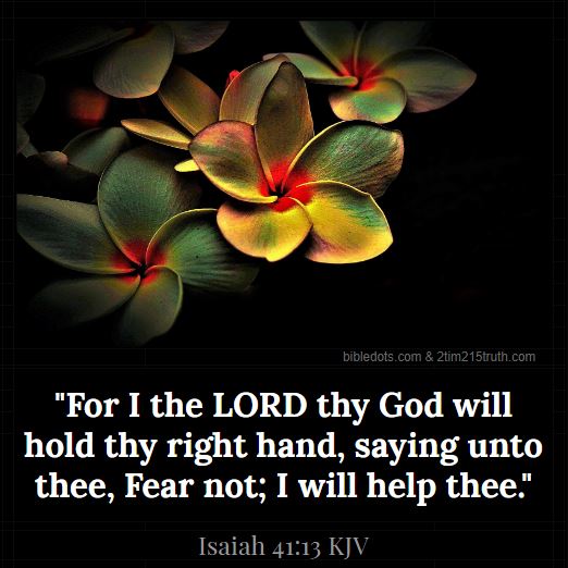 2 Timothy 2:15 Truth: Verse of the Day: Isaiah 41:13 KJV