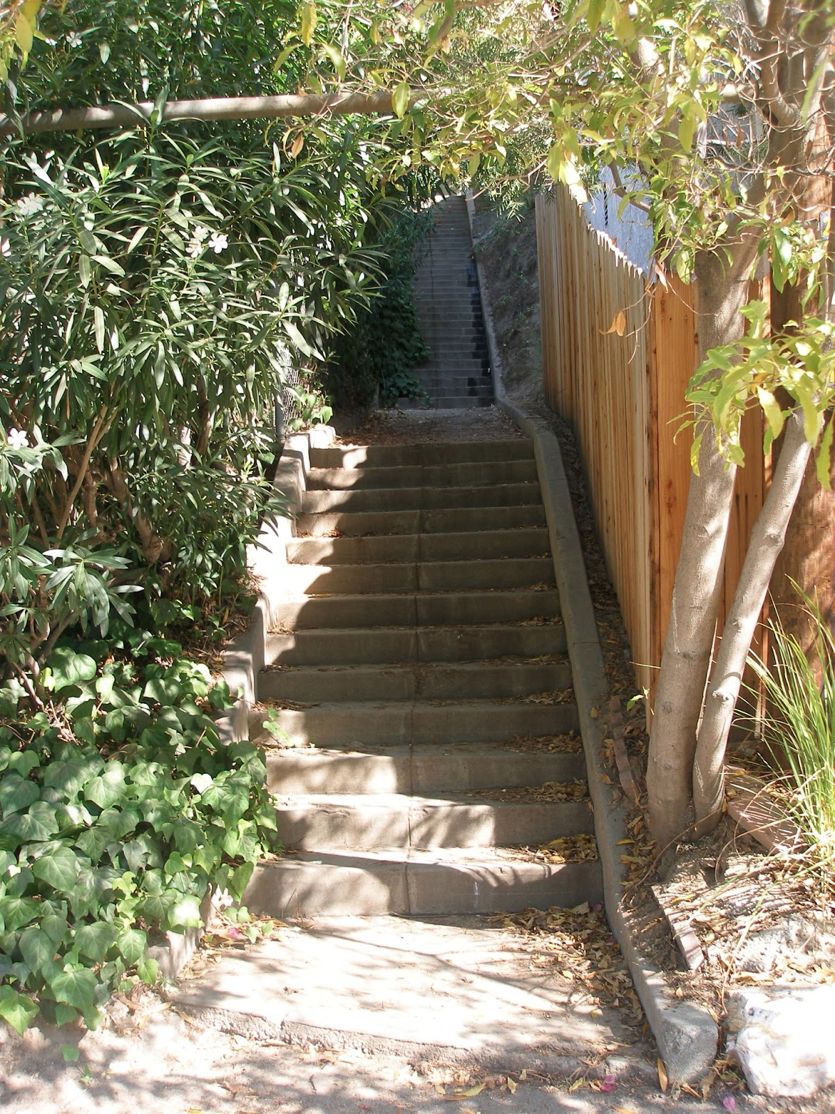 Los Angeles: Climbing the Hidden Stairways: Staircases in Pasadena