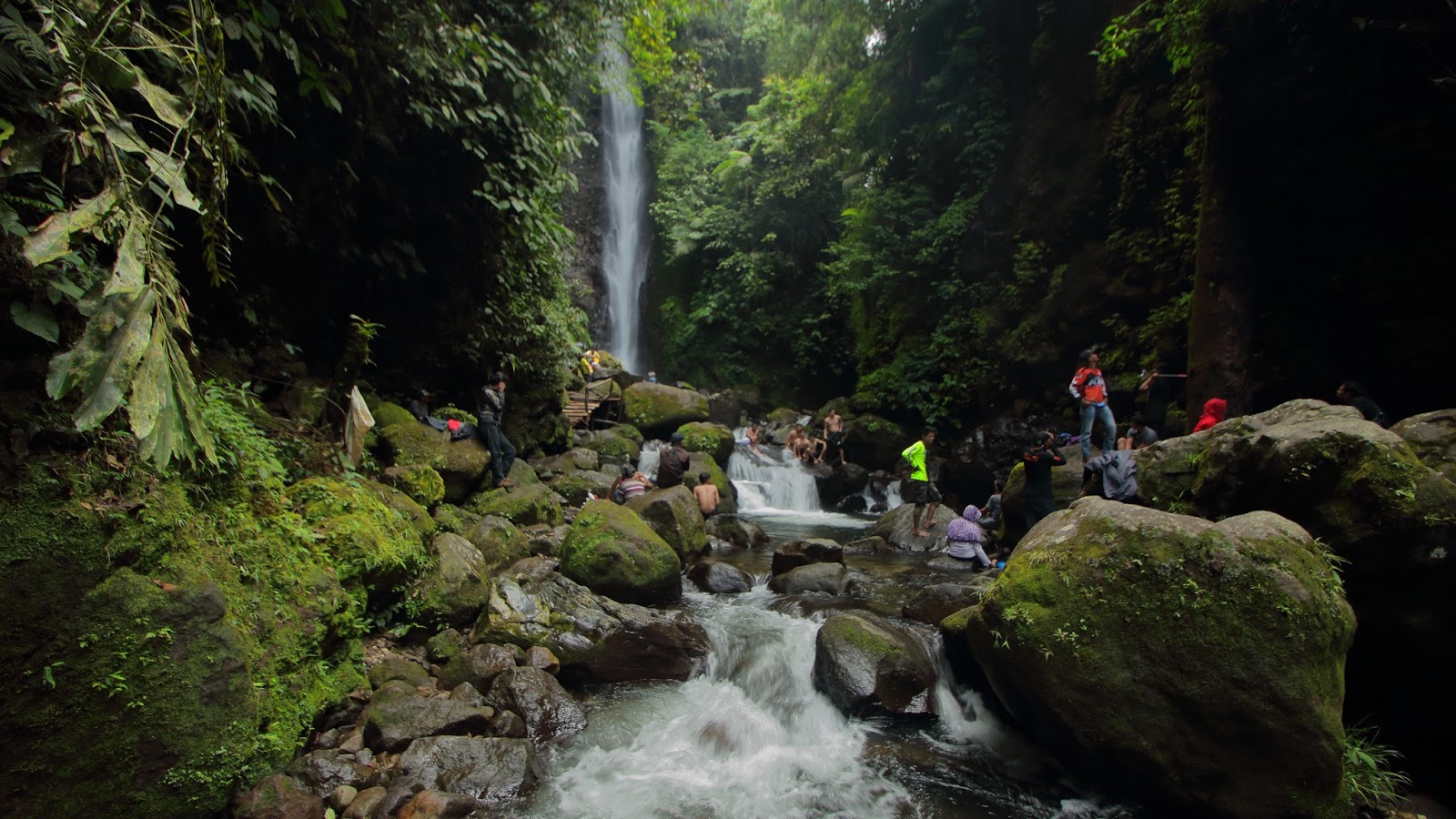 Taman Nasional Gunung Halimun Salak: Mengunjungi Curug Ciparay Muara ...
