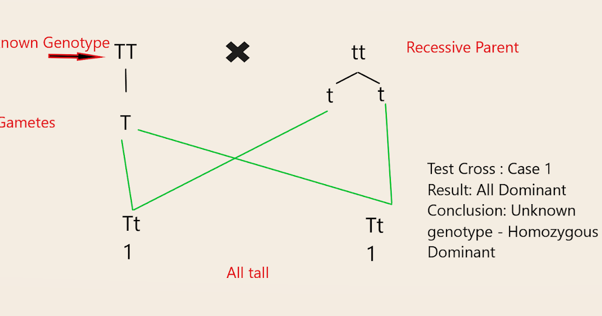 Instant Notes In Biology: Chapter 5: Principles of Inheritance ...