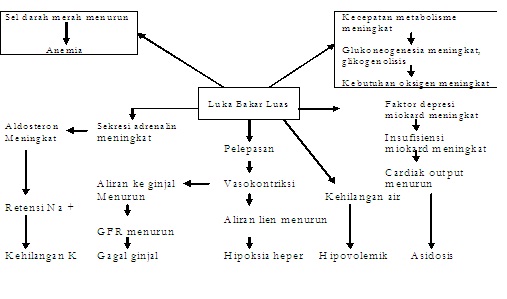 repeks: COMBUSTIO (LUKA BAKAR)