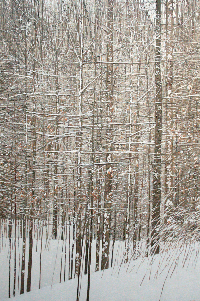 Peter Rotter Fine Art: Available work in my studio right now
