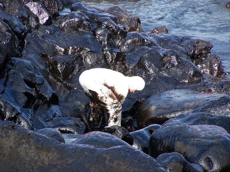 DIGA NÃO À POLUIÇÃO: AS MARÉS NEGRAS