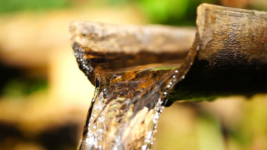 NEIC: Eco-System Based Economic Assam Refinery’s Bamboo Biofuel ...