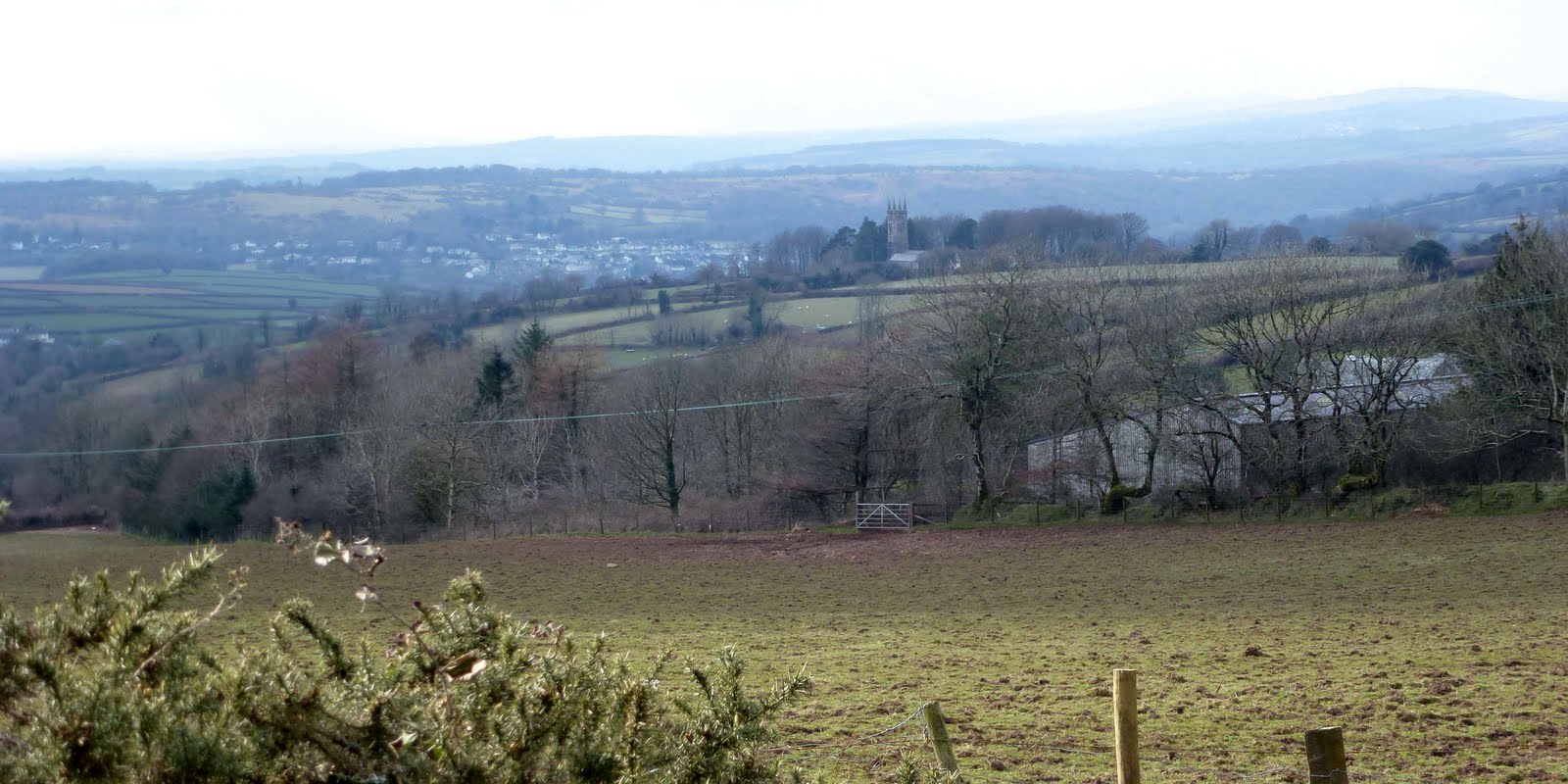 My Dartmoor Walks: Sunday 24th February The Walkhampton Plaques