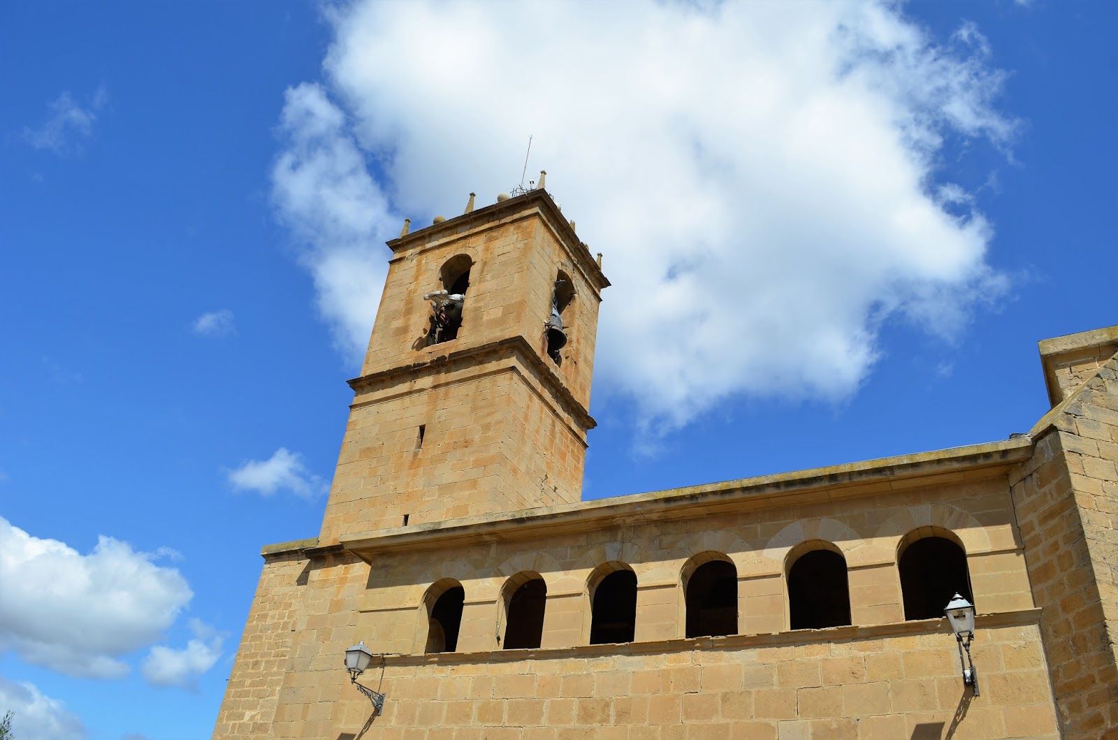 cosasdeantonio: Día de San Ramón Año 2017 (4)