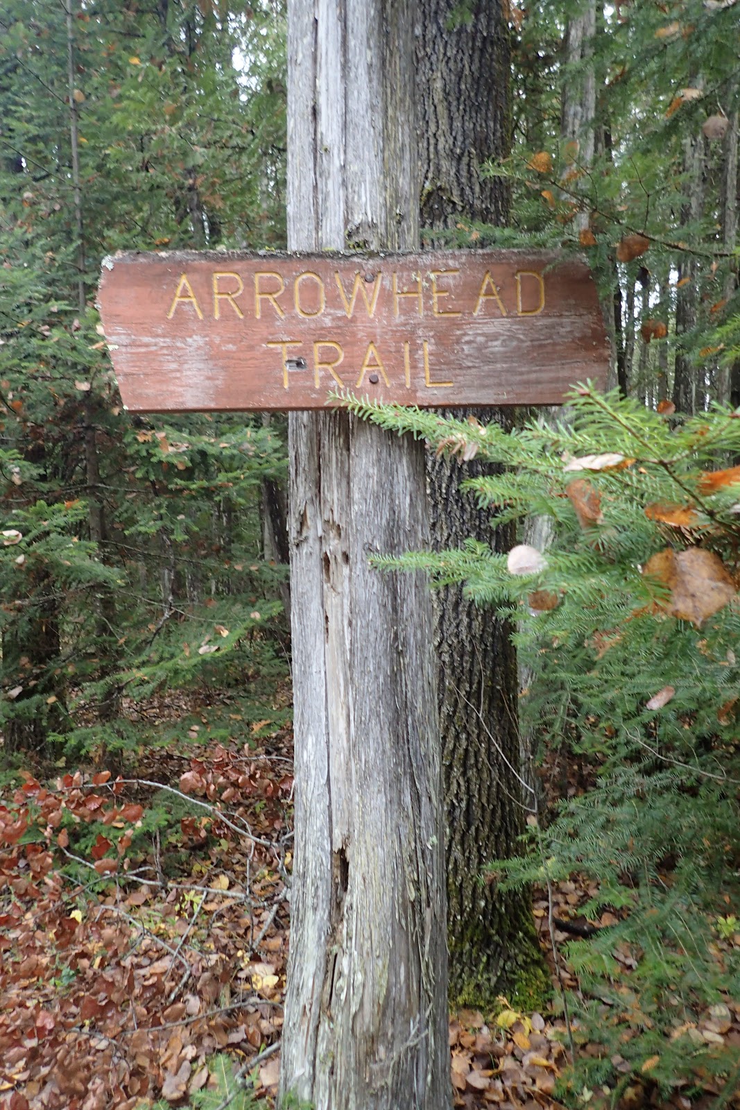 The Continuing Adventures of Eric, Noelle and Sierra: Voyageurs ...