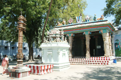 VILLAGE ART: My Madurai