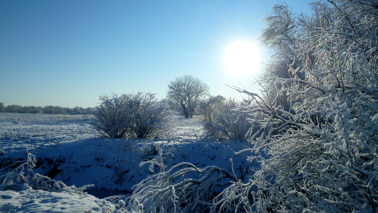 don sees the world: Morning After