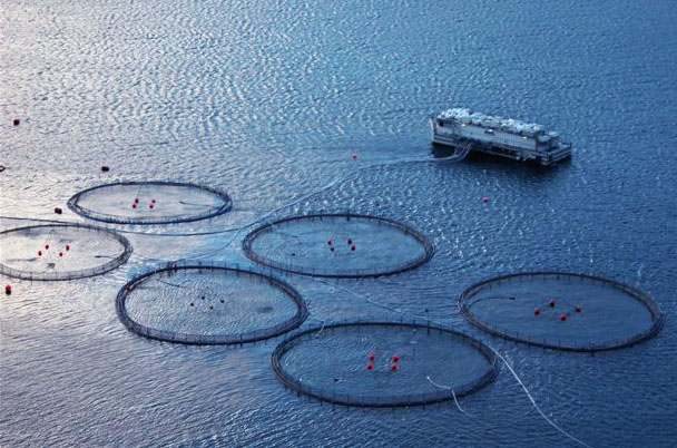 Where is Tara Tari ? Le grand voyage de Capucine et Tara Tari: Baston ...