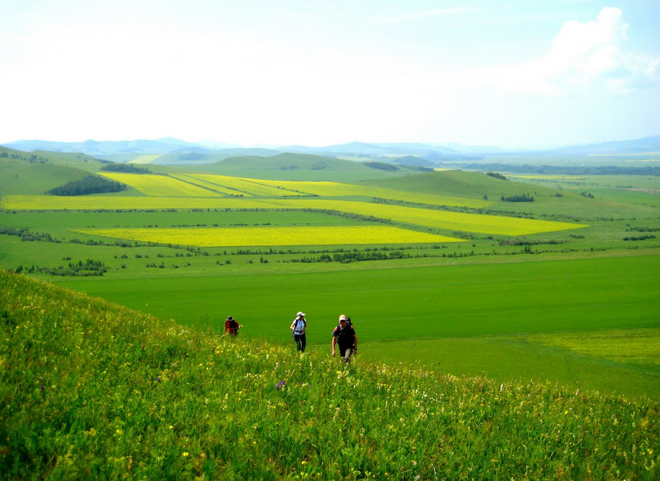 Mongolian Grasslands: The Mongolian Grasslands....