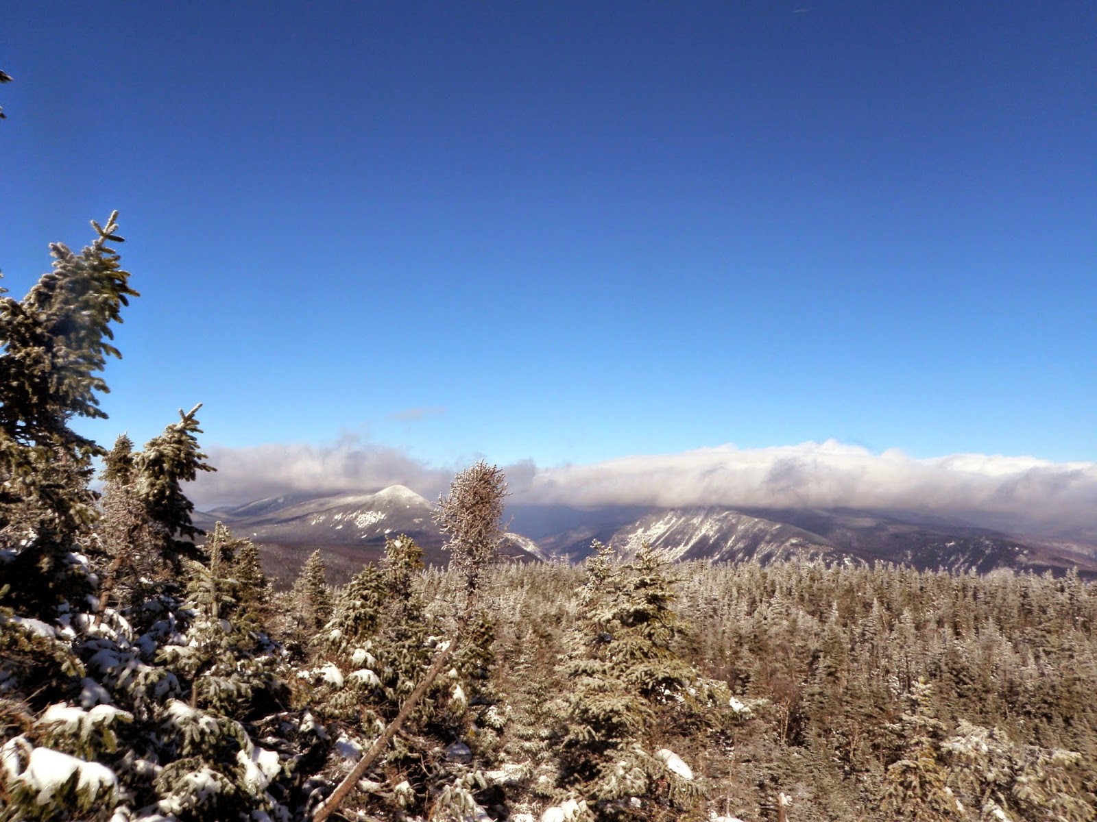 An Idiots Guide to Peakpagging and Hiking in New England: Mount Nancy ...