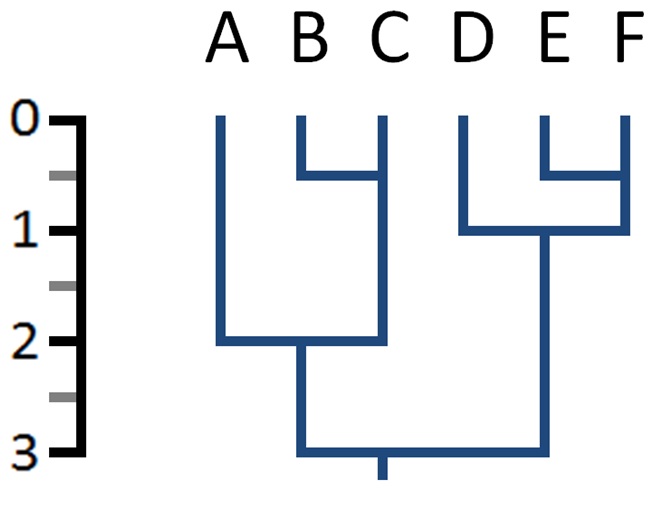 Árboles filogenéticos