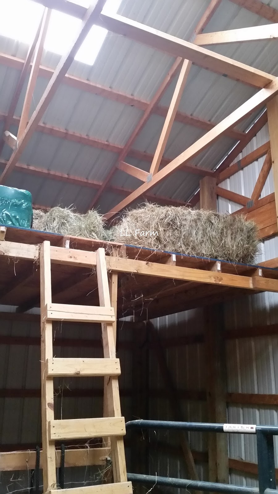 LL Farm: Prepping The Homestead For Winter