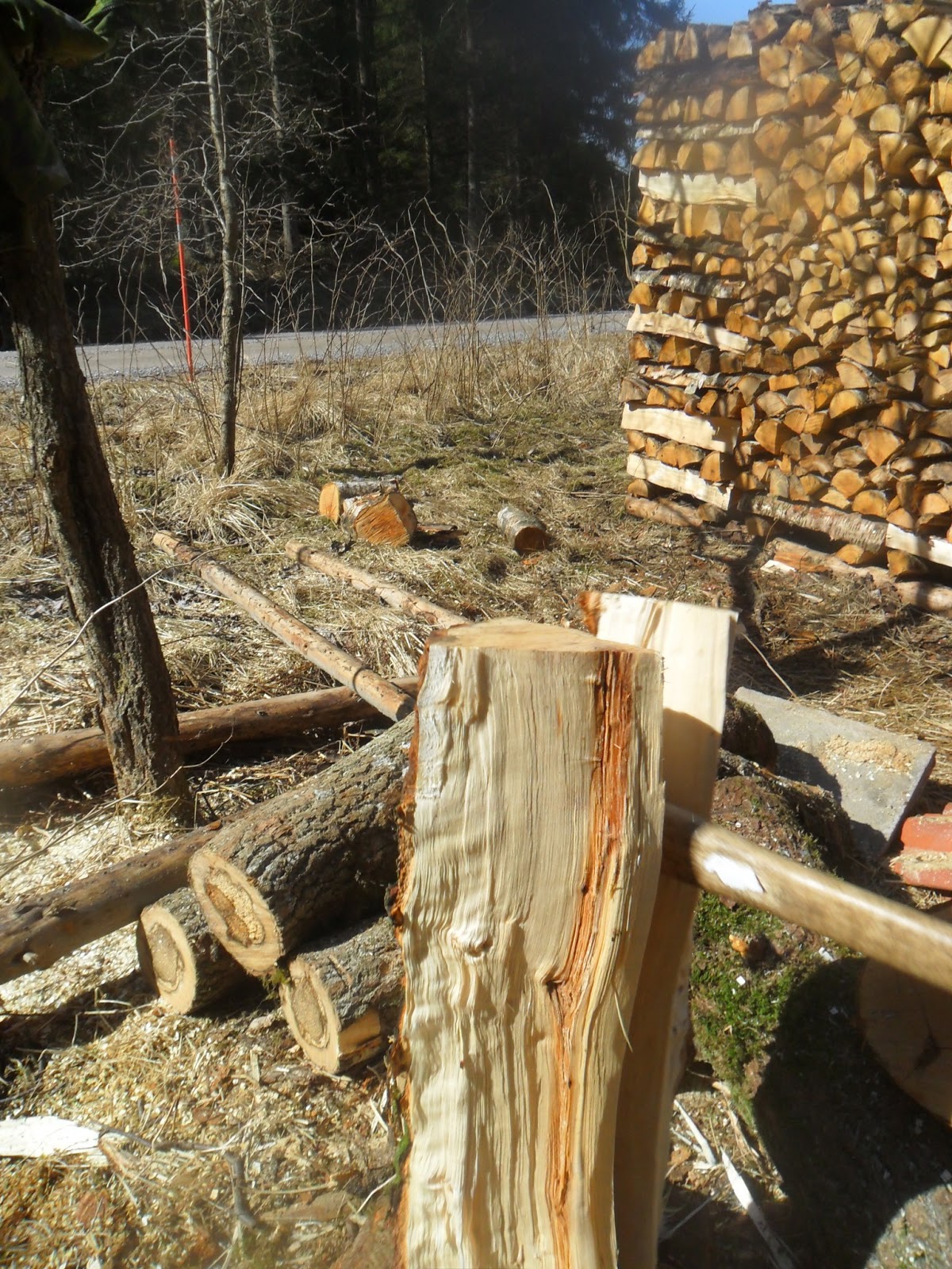 Tibbes Fotoblogg: april 2013