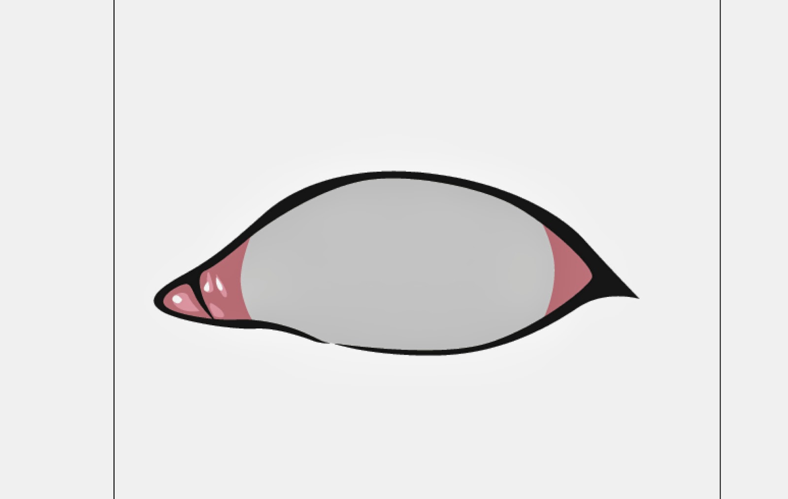 Tutorial Vector Mata - Ariev Soeharto