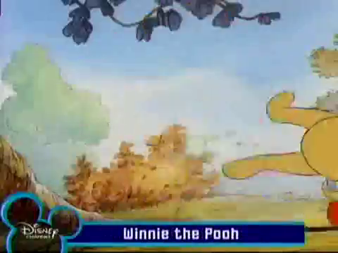 The New Adventures of Winnie The Pooh: Rabbit Marks the Spot
