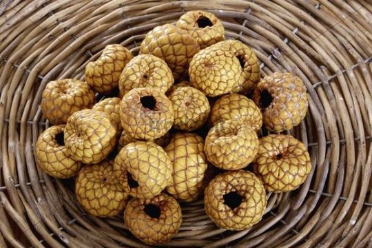 Info Bolu: 7 Buah Langka dan Enak diIndonesia