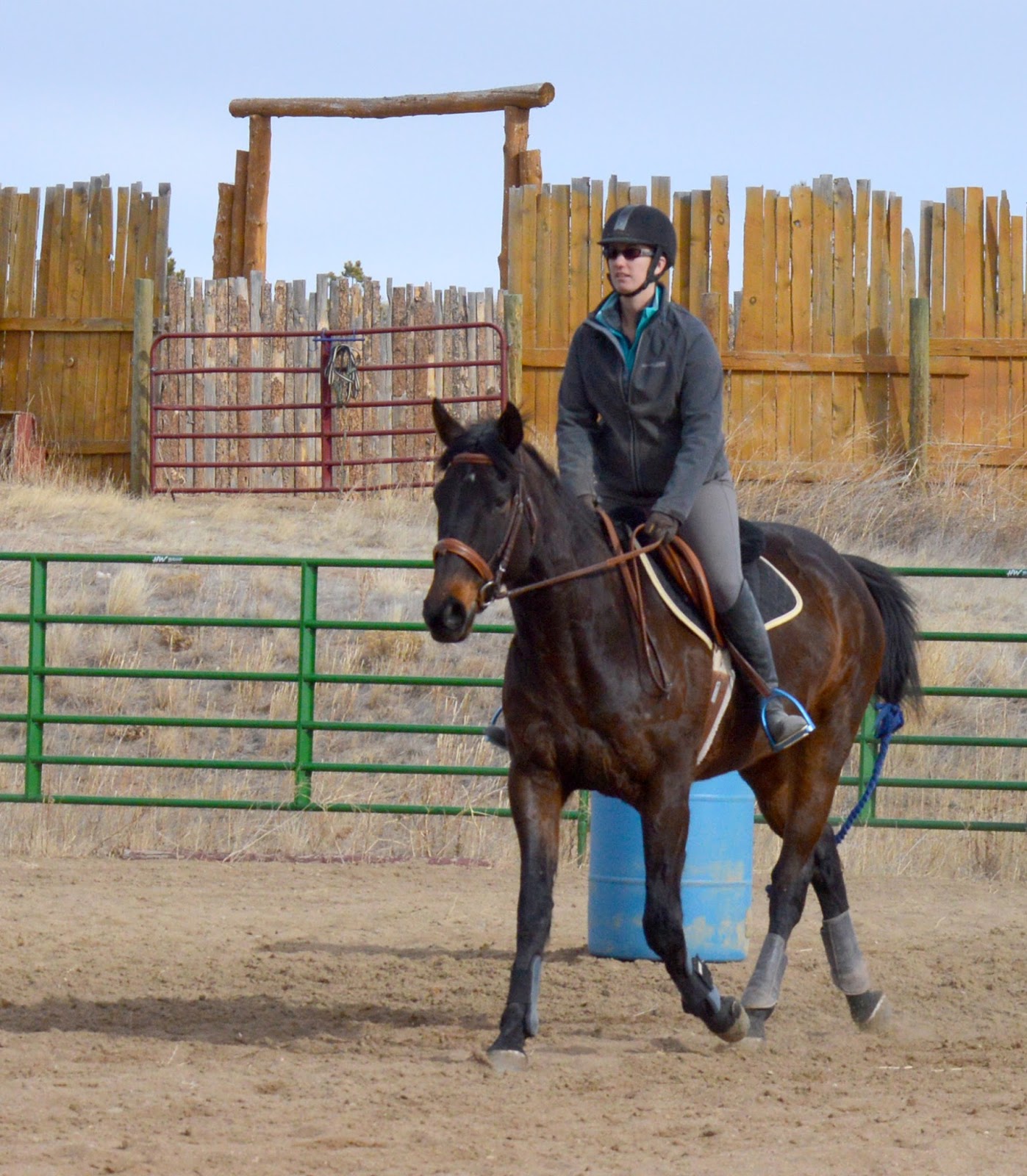 Bit of Honey Training: Barrel Racing Jumping