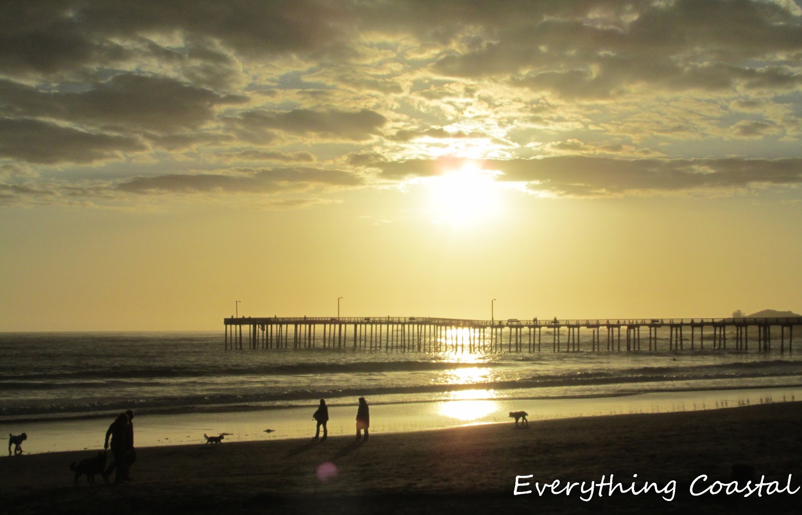 Everything Coastal: A Cayucos Sunset