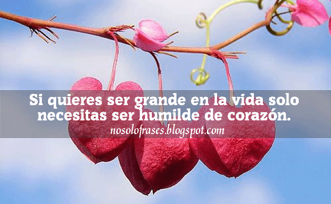 No Solo Frases: Si quieres ser grande en la vida solo necesitas ser ...