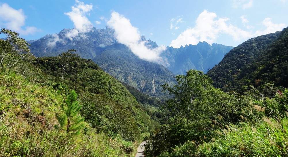 KINABALU: MESILAU NATURE PARK