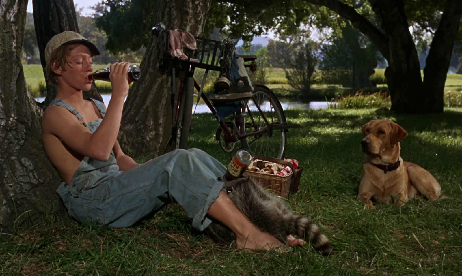 Mi amigo Rascal (1969 - Rascal) - Imágenes de Cine Clásico