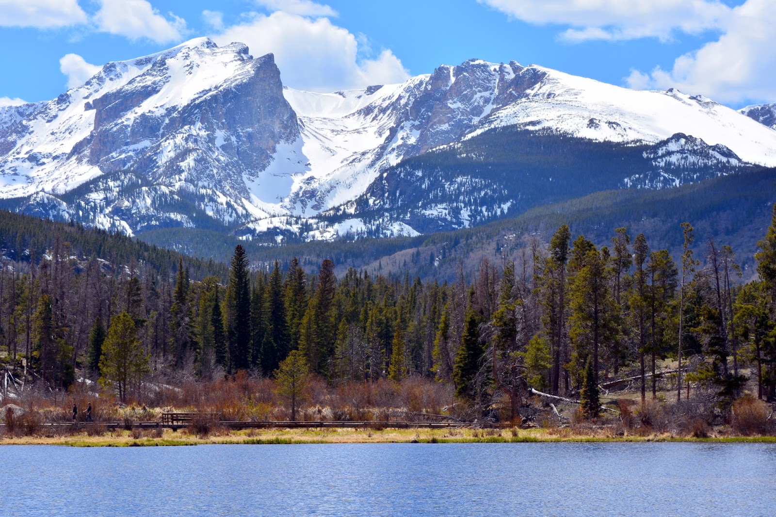 Mille Fiori Favoriti: Spring in Rocky Mountain National Park