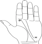 हस्तरेखा और भाग्य रेखा (Hastrekha Aur Bhagya Rekha) ~ INDIAN PALMISTRY ...