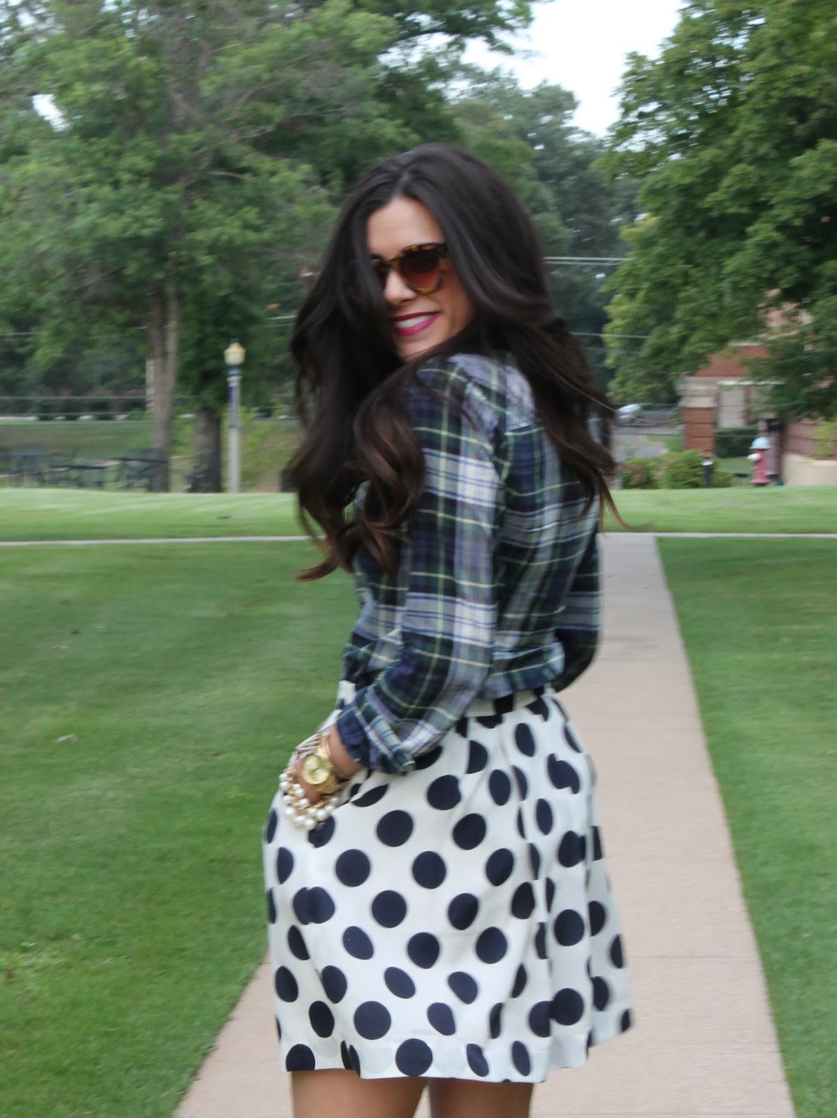 meaning - What does "Polka dot and plaid" combination mean? - English ...