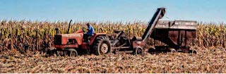 Ag Day 2022: Who Photoshopped the Corn Harvest?