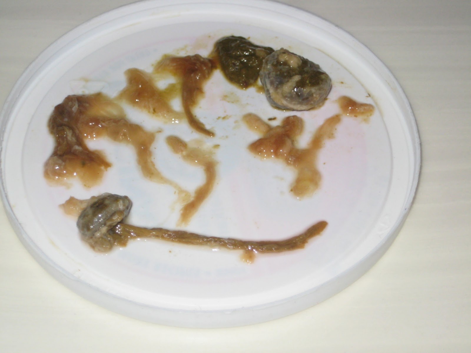 The Parasite Gallery