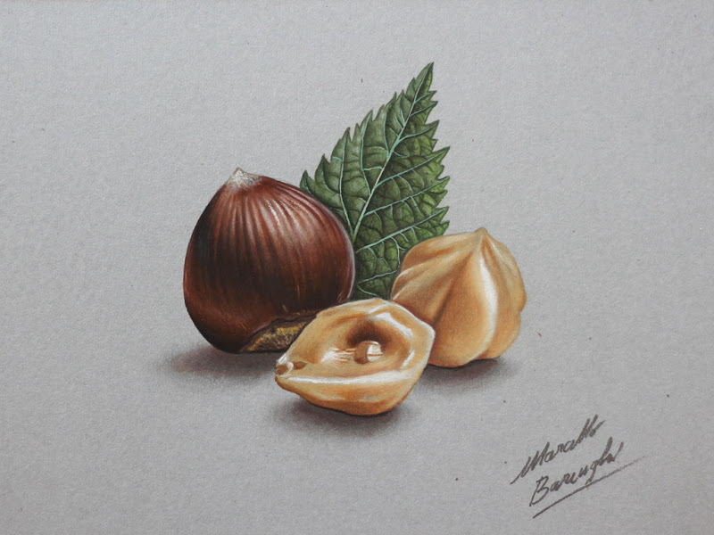 Hazelnuts drawing - Marcello Barenghi