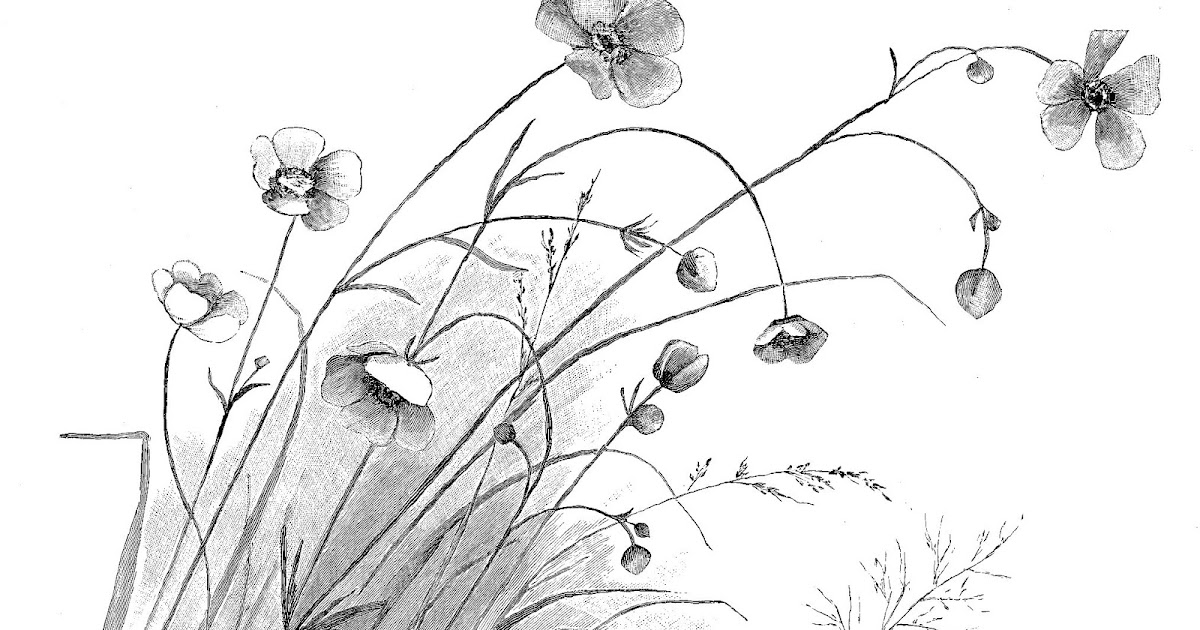 Digital Stamp Design: Digital Flower Sweet May Illustration Image ...