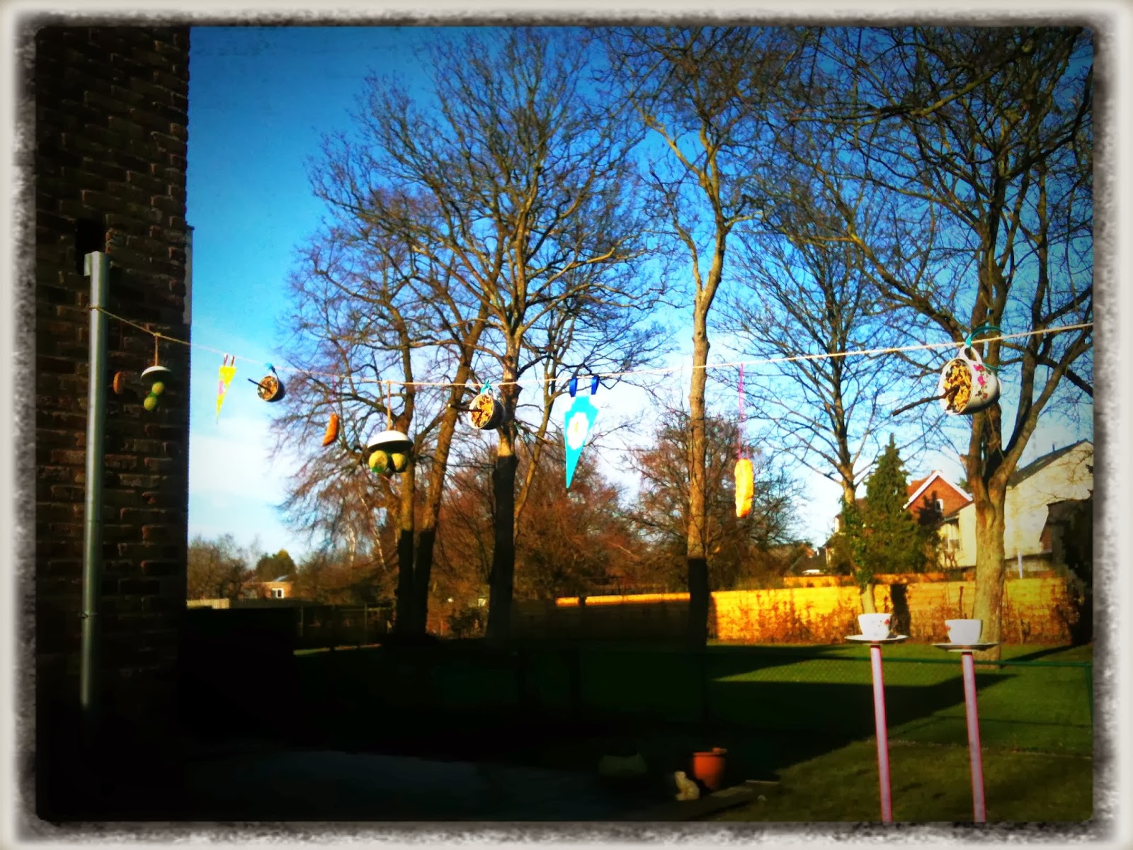 Wangle/Tangle in my Kitchen