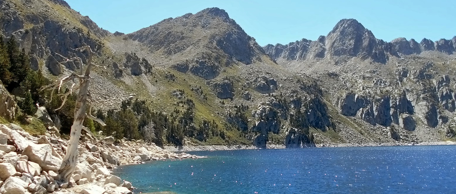 NATURA VIVA: ESTANY NEGRE DE PEGUERA