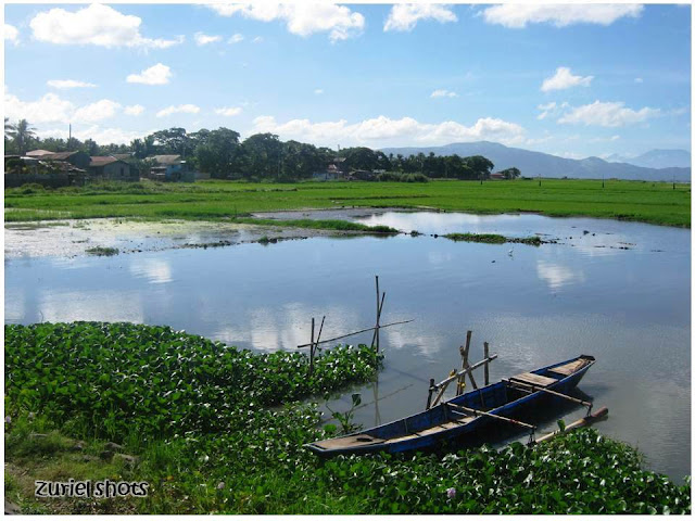 Zuriel Shots: Tanay Dike