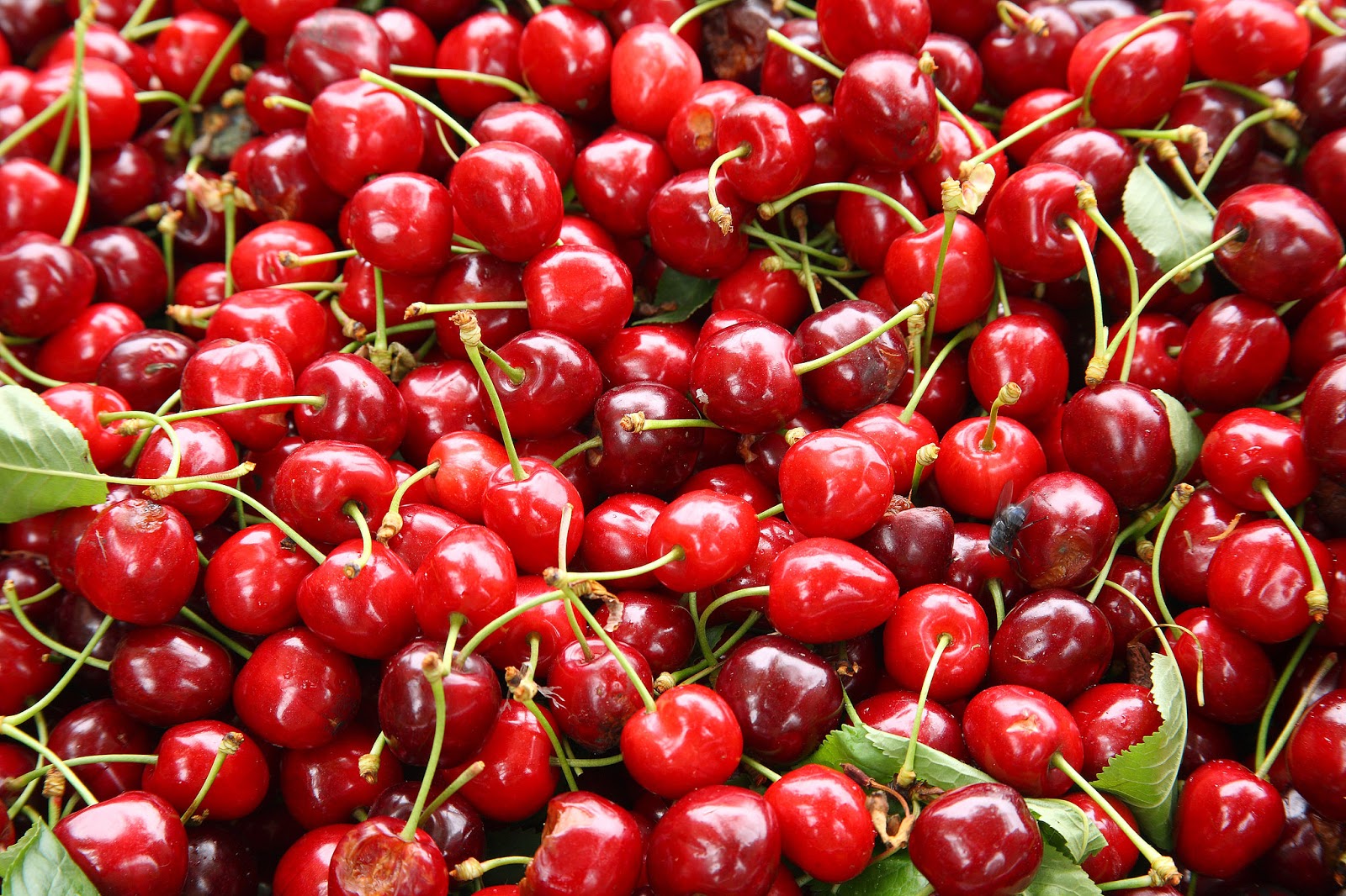 5 Red Foods for Health - Healthy For Us All