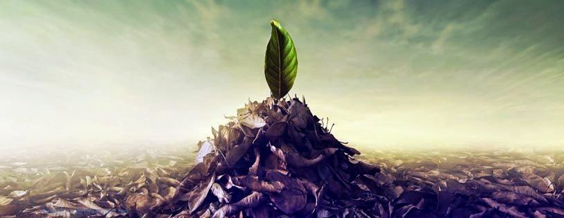 Les meilleurs photos de couvertures facebook ~ Photo et image ...