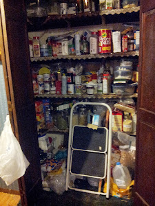 Patterson's Princess Plan: THE DREADED UNORGANIZED PANTRY MONSTER SLAIN