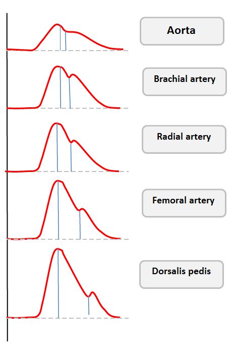 icupearls.org Archive