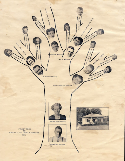 Murray Memories and More: The Murray Family Tree in 1954