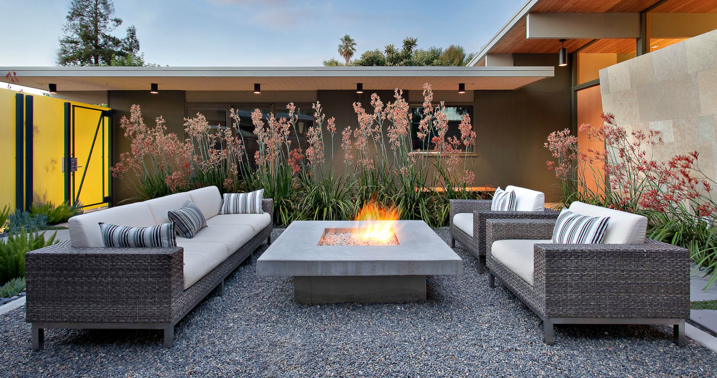 paradis express: Bernard Trainor and associates