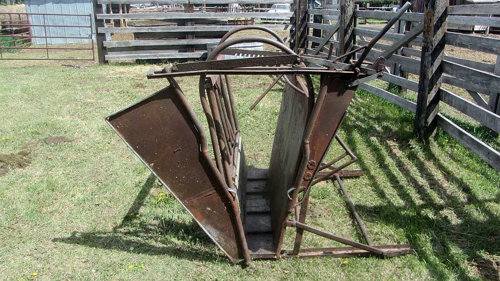 Life among the Tall Pines: Calf table