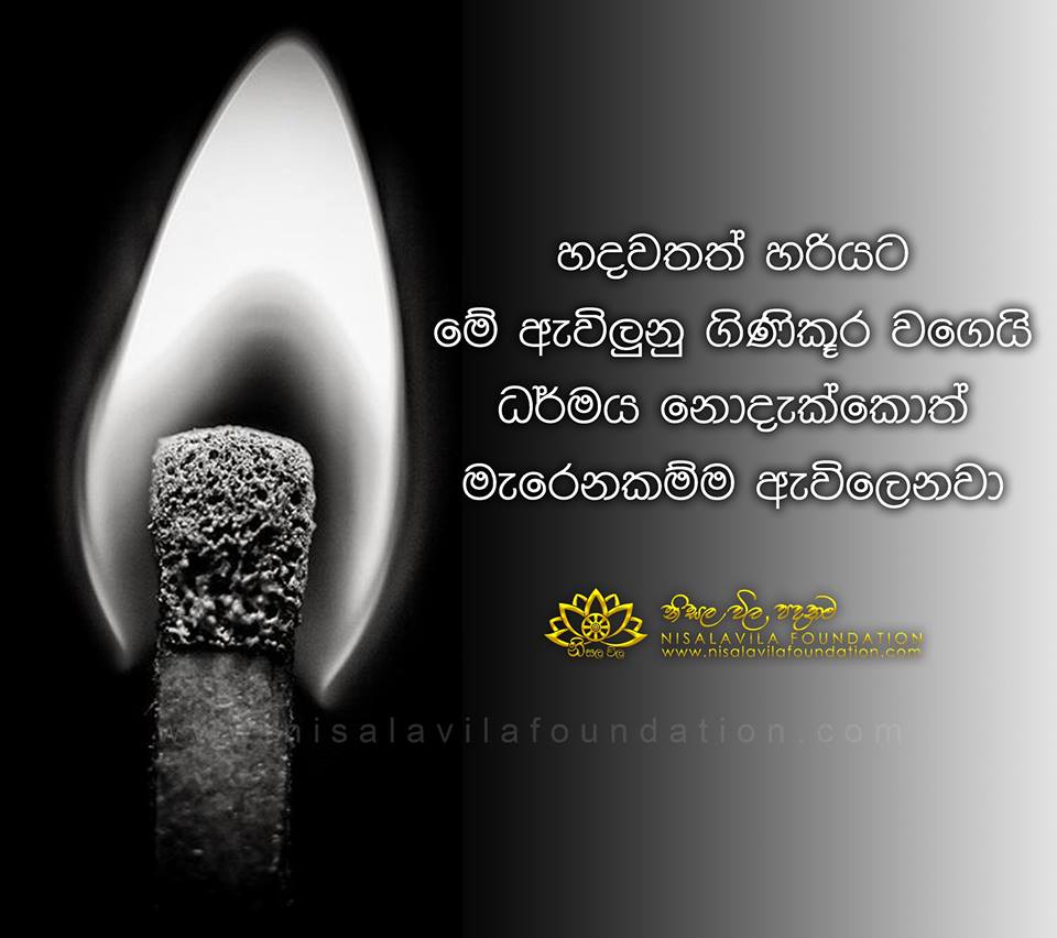 ලයට සිසිල - Nisalavila Foundation